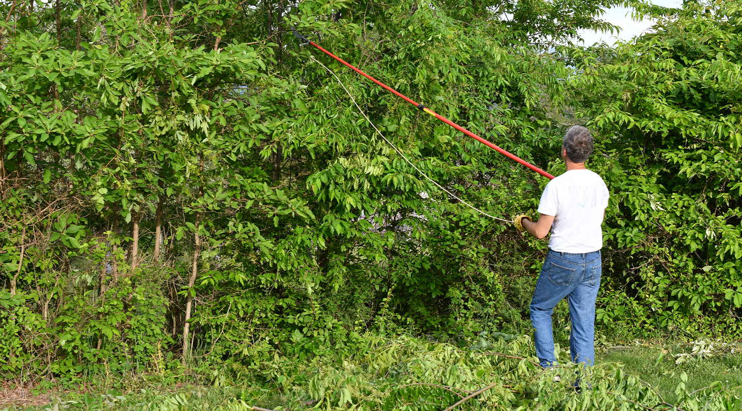 Wildfire Mitigation Tools: Things to Do Now | EPIC-FSC